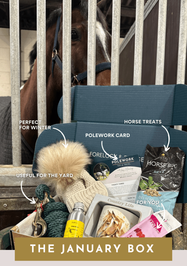 Forelock and Fringe | Subscription Boxes for Horse & Rider UK
